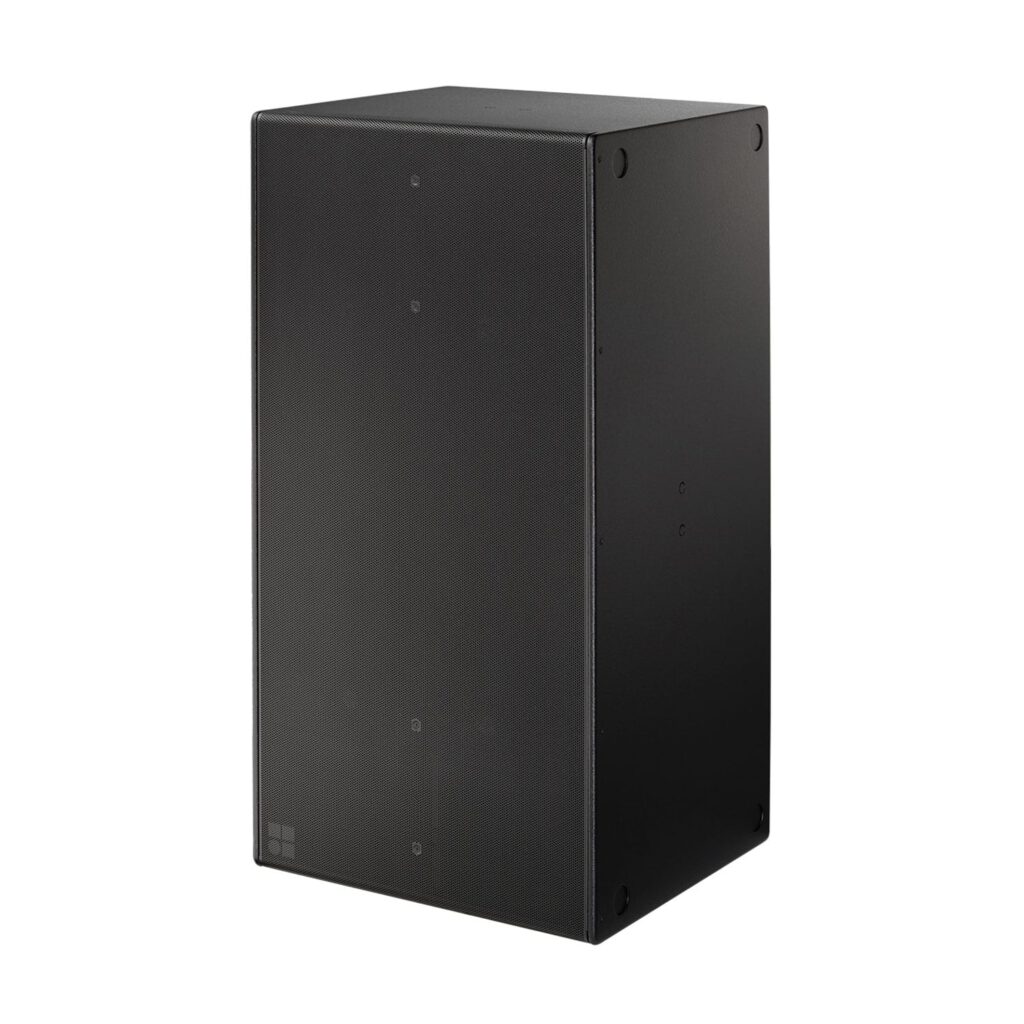 d&b audiotechnik 21S-SUB Subwoofer - Parsons Audio